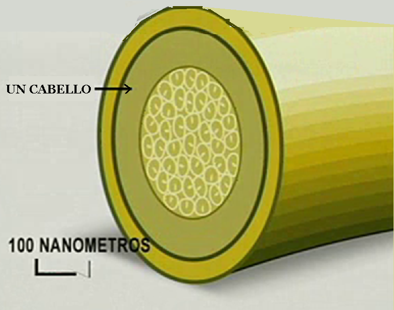 O que é o nanómetro? :: Nosso Interesse